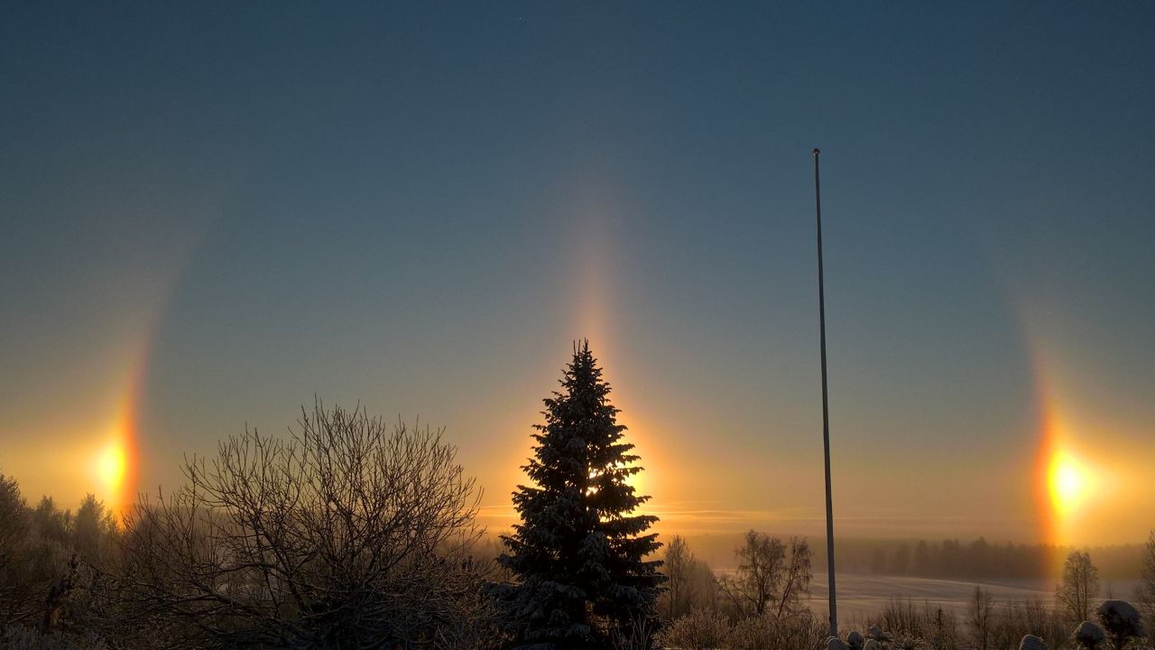 Auringon halo - Metsälehti