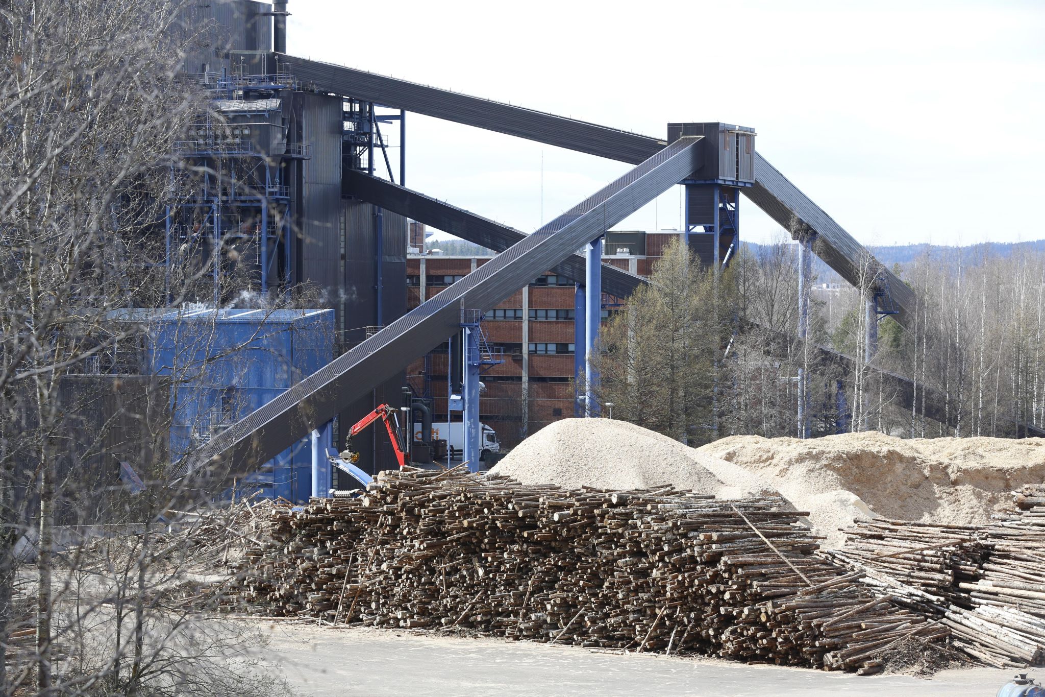 Puu on Suomen energiantuotannon perusta - Metsälehti