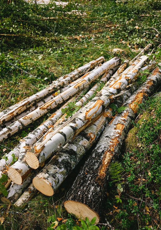 Nurin, poikki & pinoon - Metsälehti