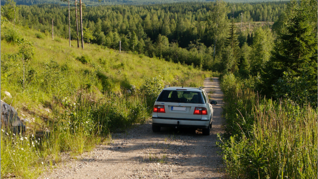 Metsäläisen allakka | Auto perille ja parkkiin - Metsälehti