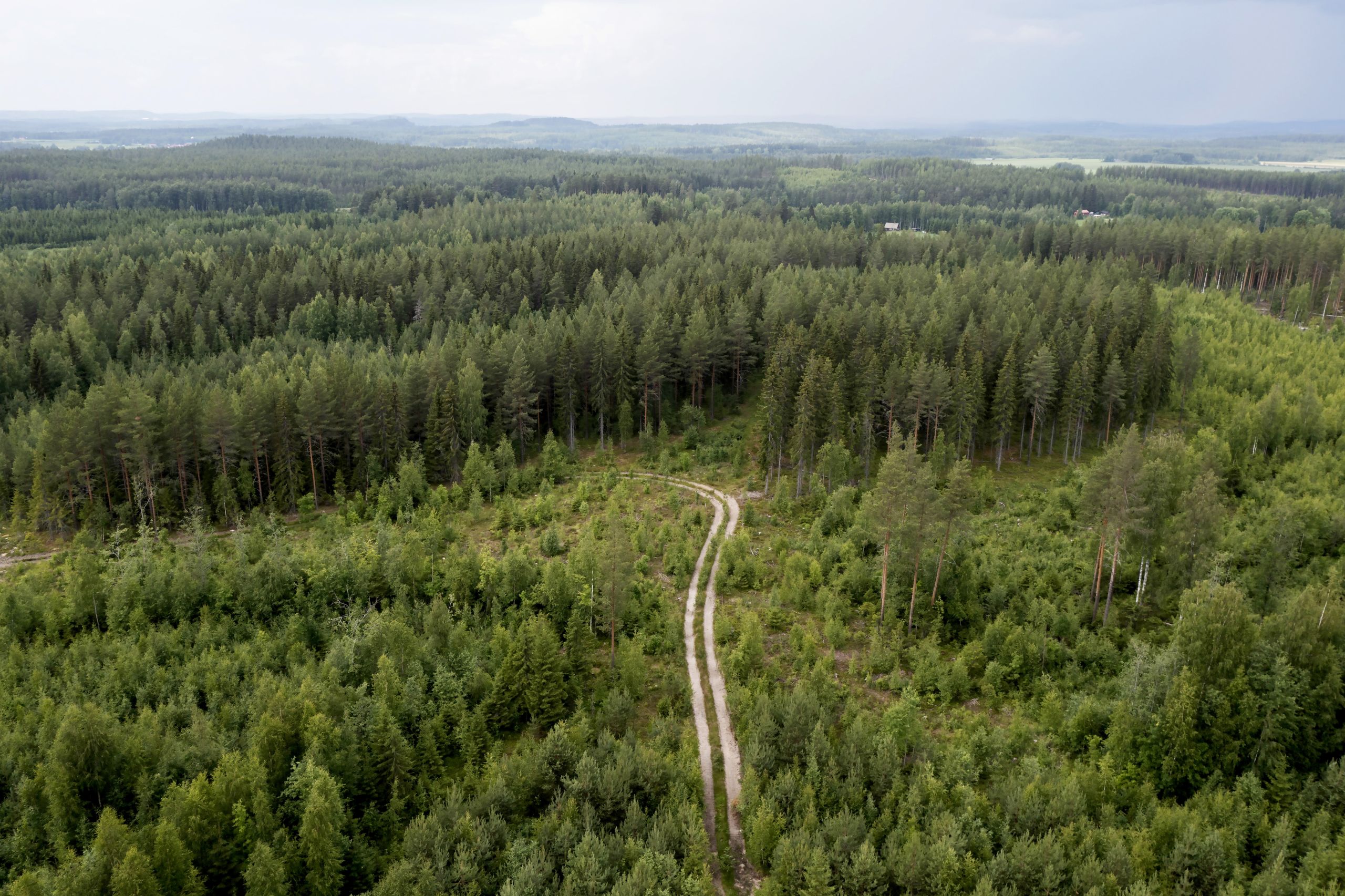 Rahastot vetävät henkeä metsätilamarkkinoilla - Metsälehti
