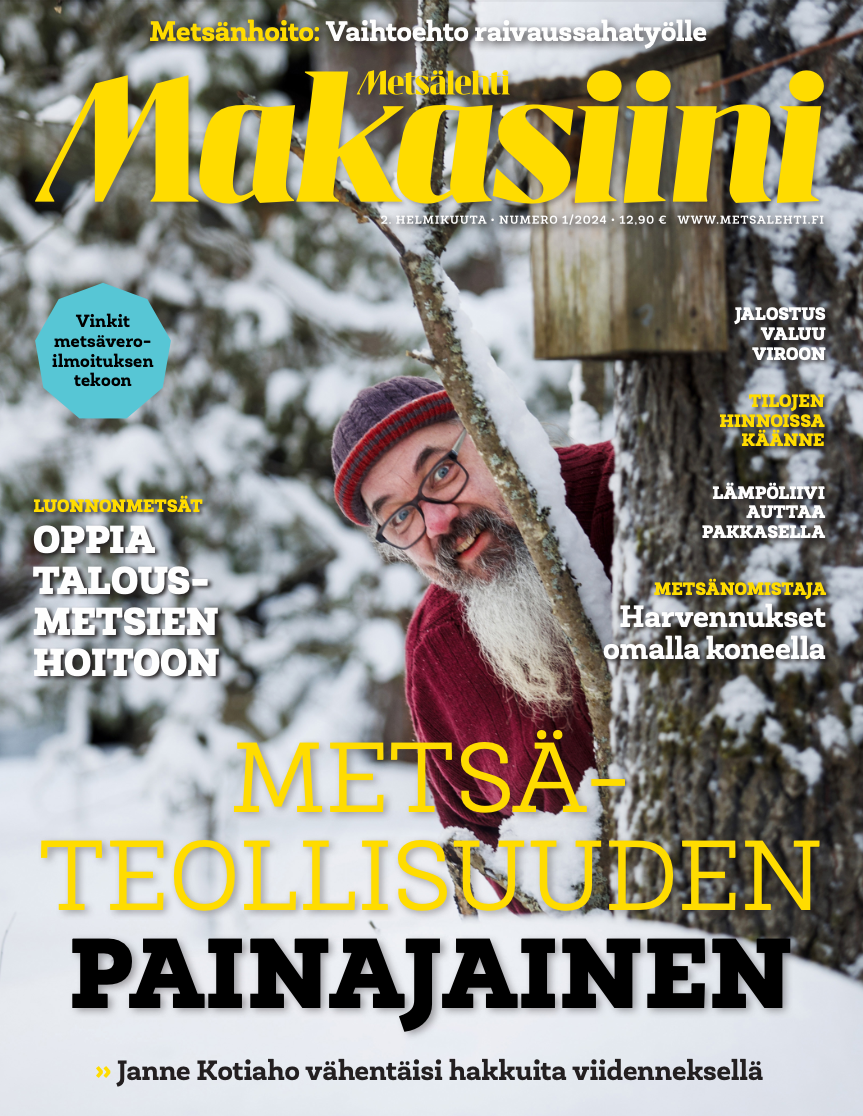 Verkkolehti - Metsälehti