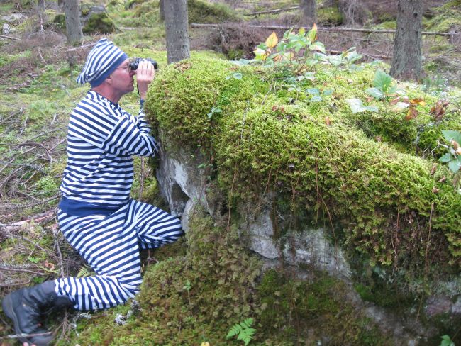 Allakka | Tarkkaile metsääsi - Metsälehti