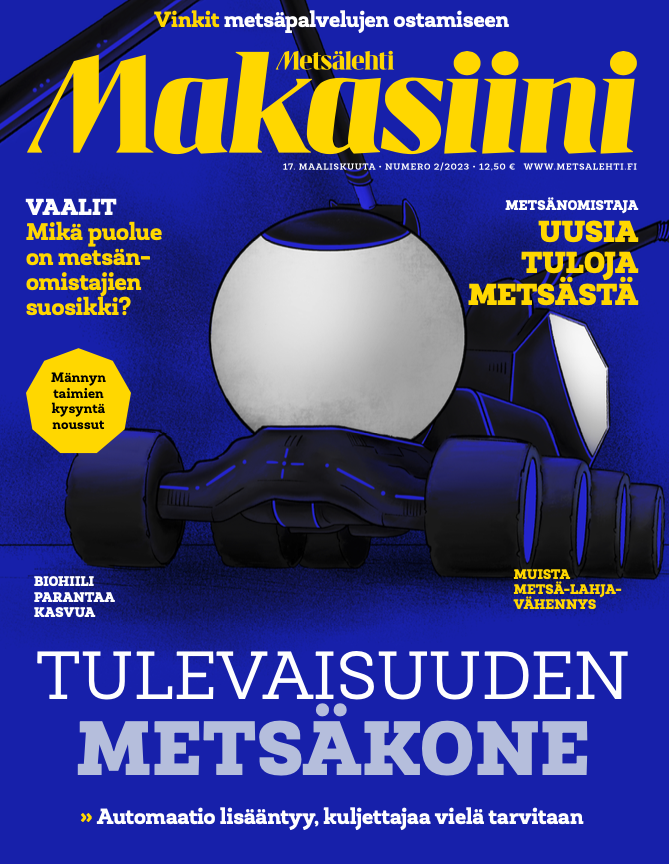 Verkkolehti - Metsälehti