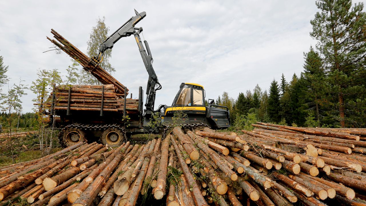 Onko sinulla kantavan maan harvennuskohteita? Niille on nyt kysyntää ...