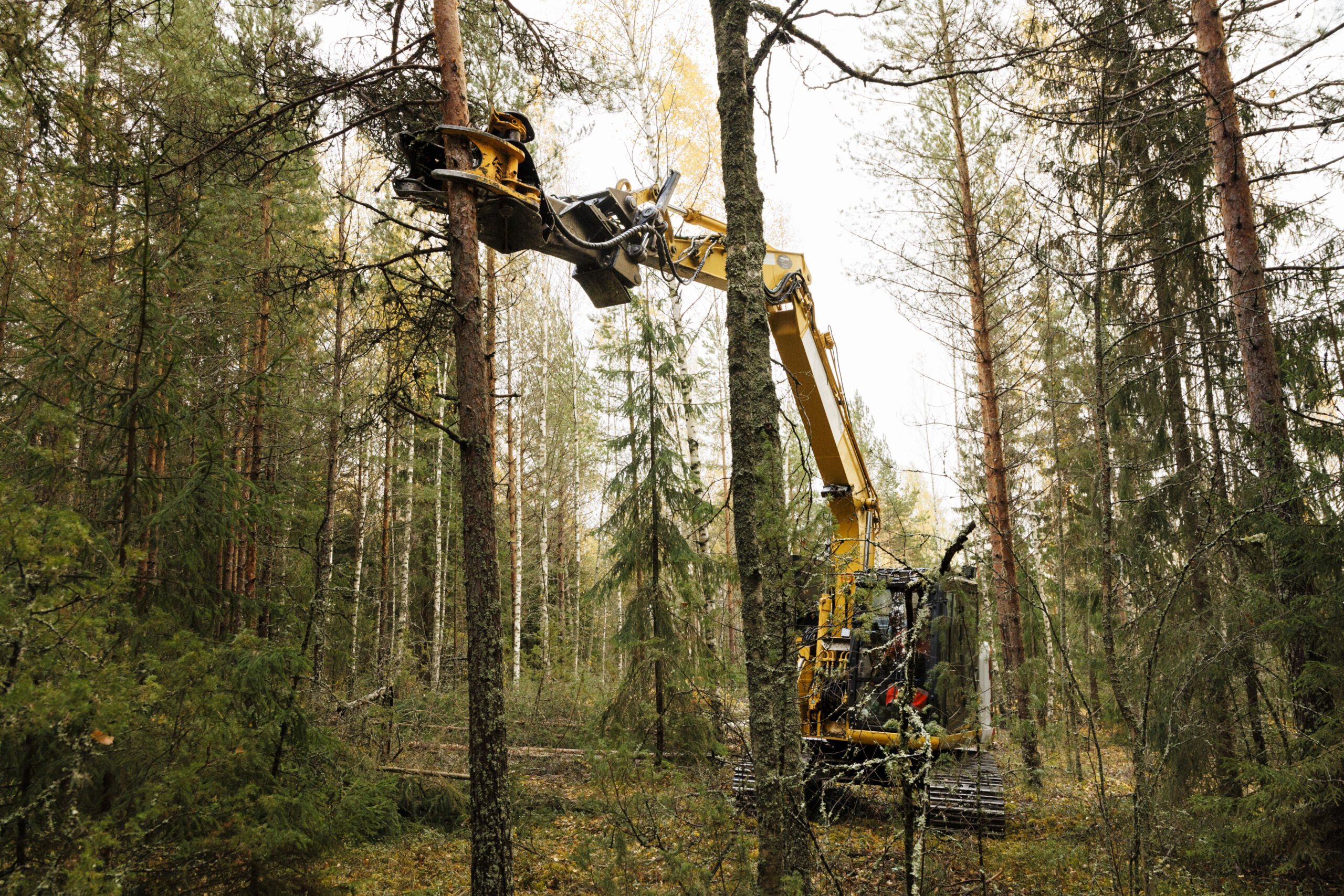 Kaivuri, giljotiini ja kantokäsittely – kolmen konstin yhdistelmä ...