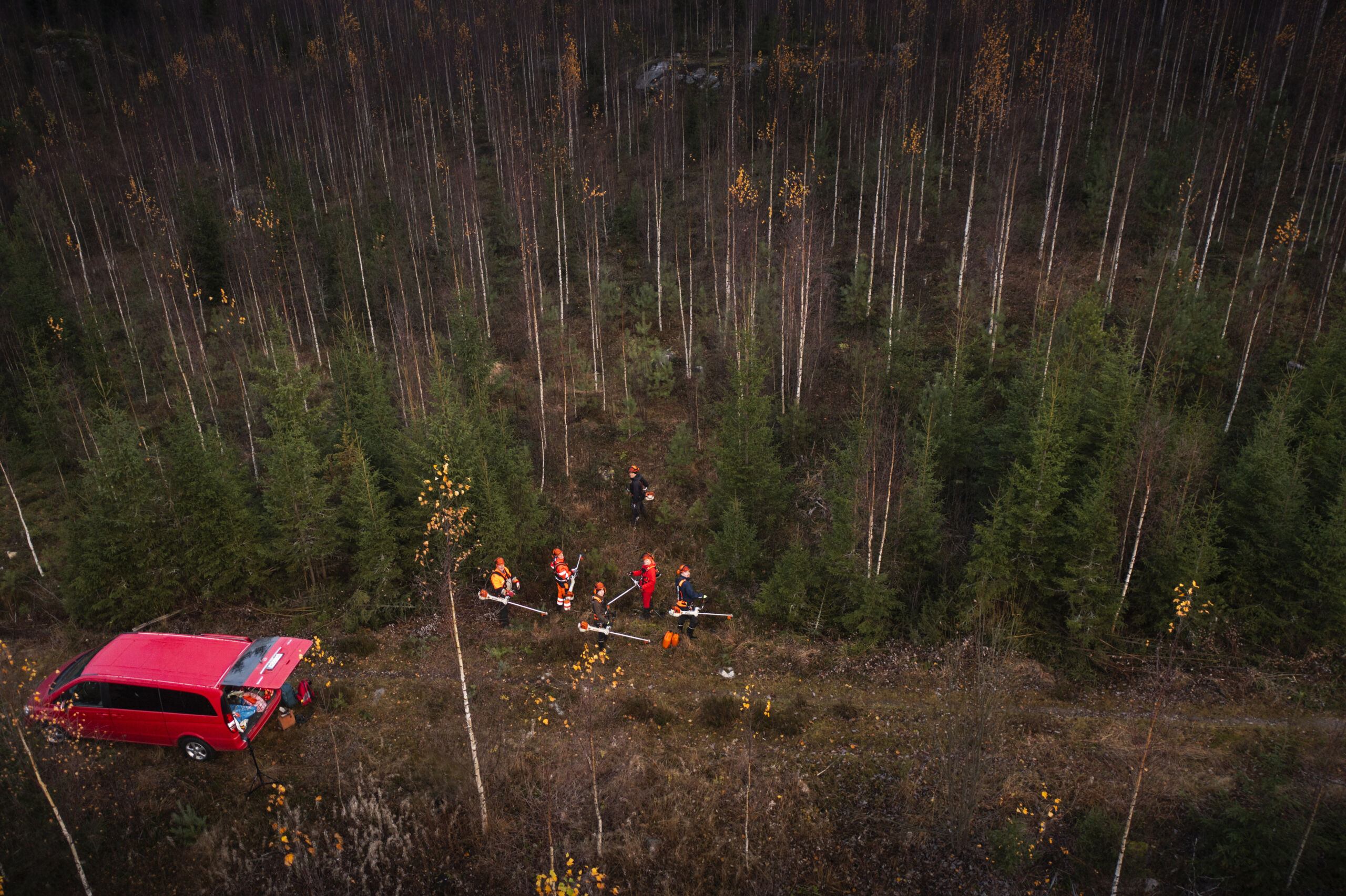Piippojen yhteismetsässä raivaa koko suku - Metsälehti
