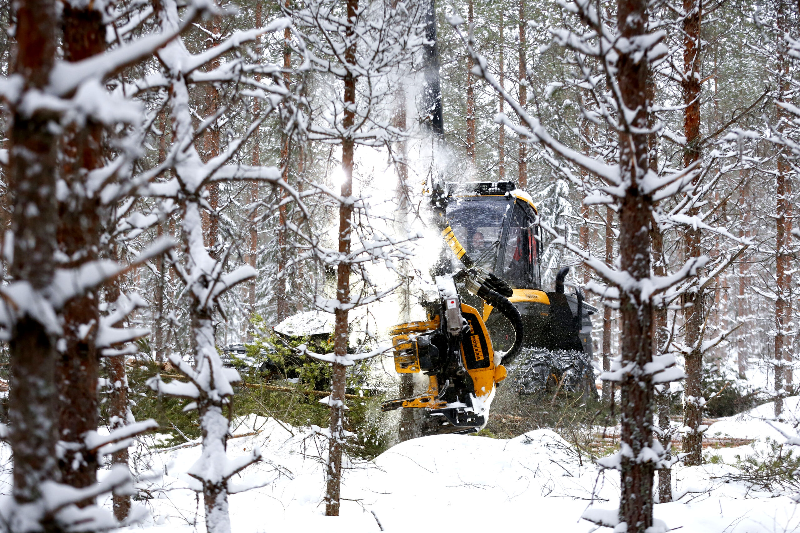 Kokenut puuntuottaja: ”Puuta kyllä riittää” - Metsälehti