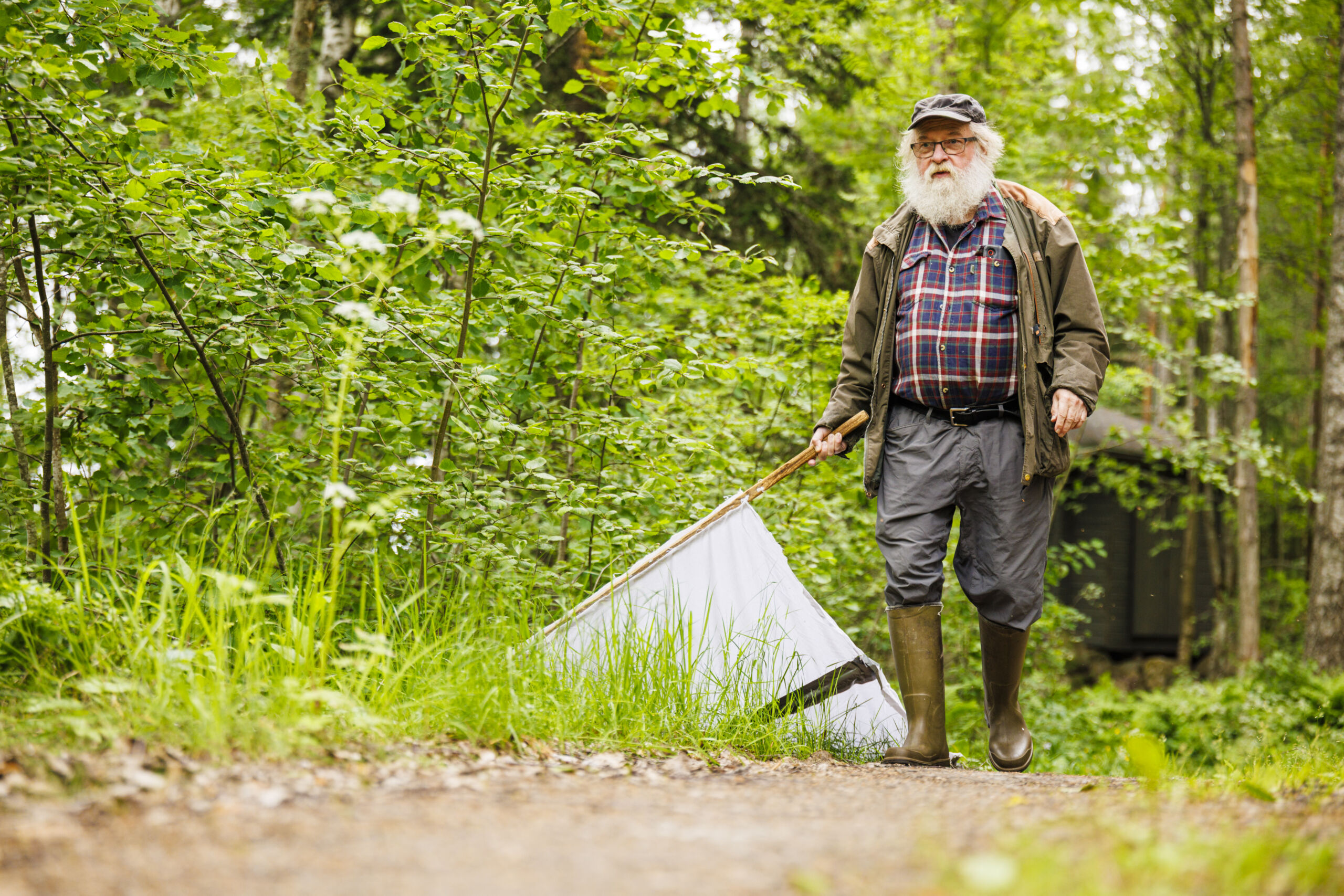 Toimi oikein – punkki vaanii metsätöissä - Metsälehti