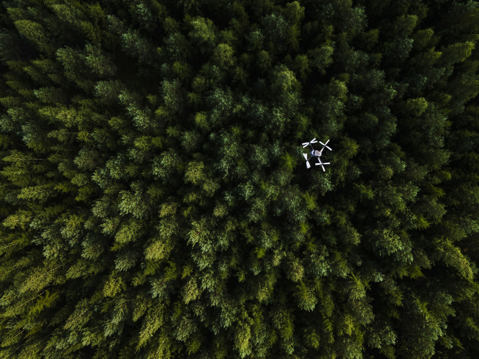 Drooni on 2000-luvun työhevonen - Metsälehti