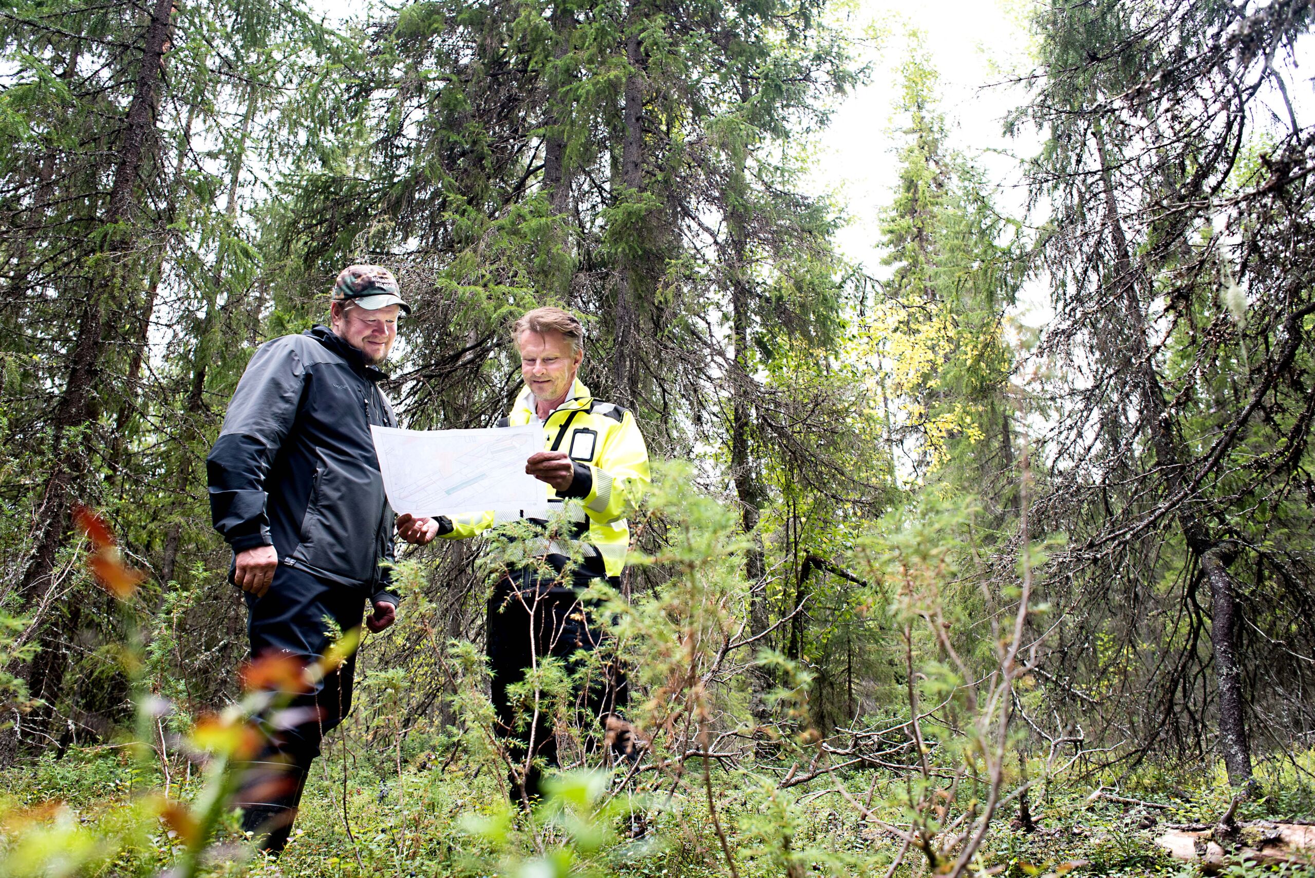 Tilusjärjestelyssä rajat laitetaan uusiksi keskustellen - Metsälehti