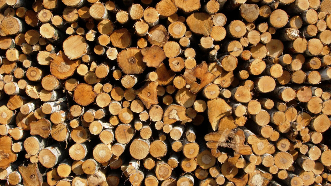 Riikilä | Kuution uudet osakkaat – Arska ja Reiska - Metsälehti
